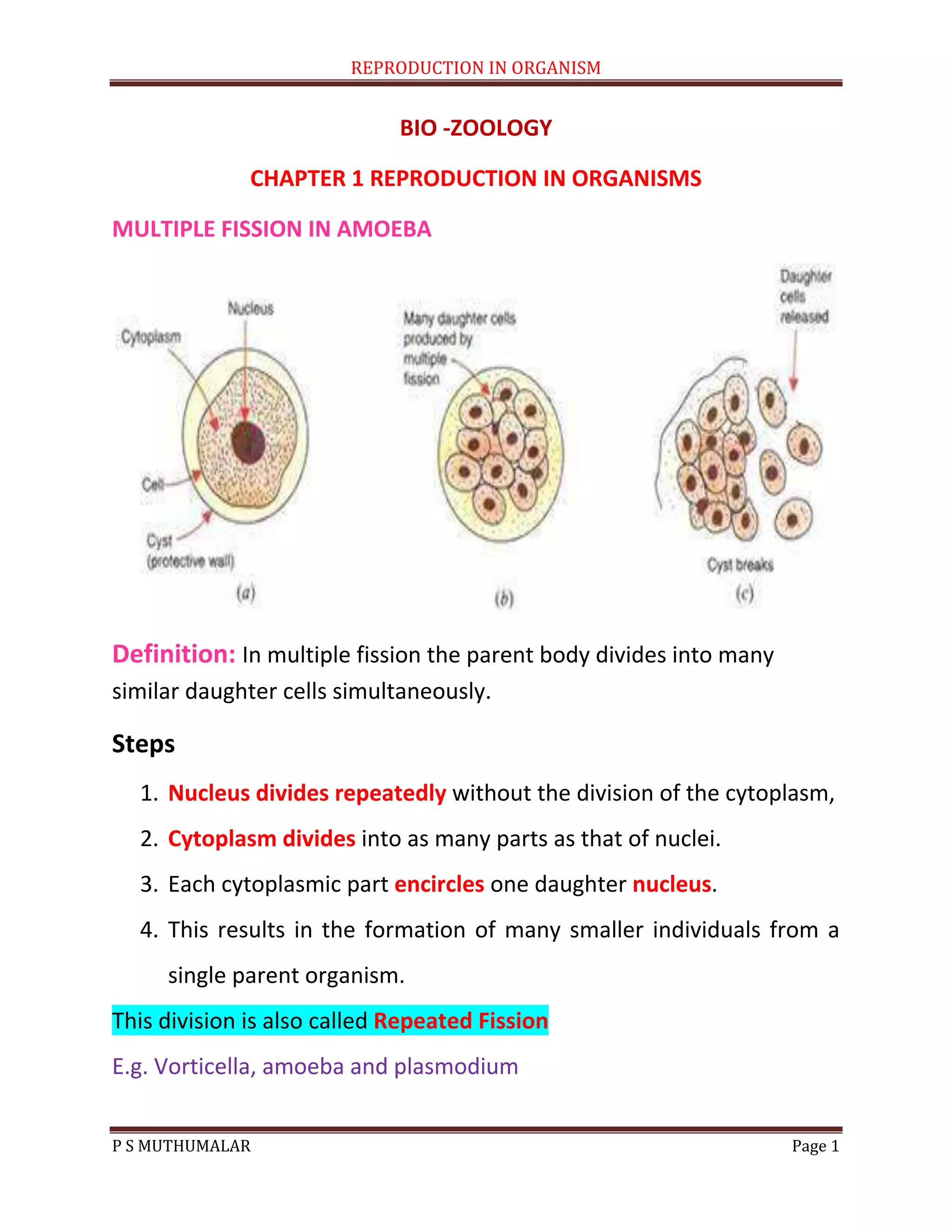 Chapter 1 reproduction in organism | PDF