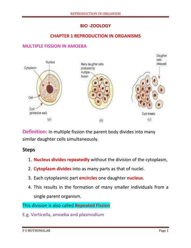 Chapter 1 reproduction in organism | PDF