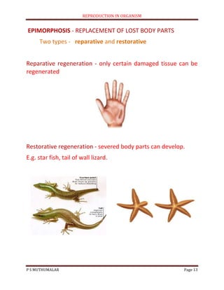Chapter 1 reproduction in organism | PDF