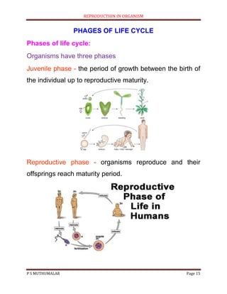 Chapter 1 reproduction in organism | PDF