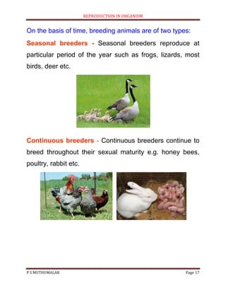 Chapter 1 reproduction in organism | PDF