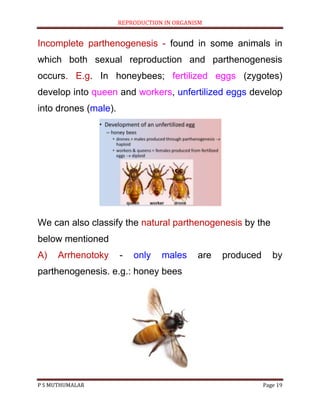 Chapter 1 reproduction in organism | PDF