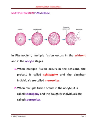 Chapter 1 reproduction in organism | PDF