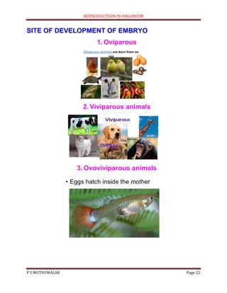 Chapter 1 reproduction in organism | PDF