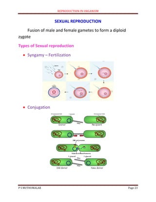 Chapter 1 reproduction in organism | PDF
