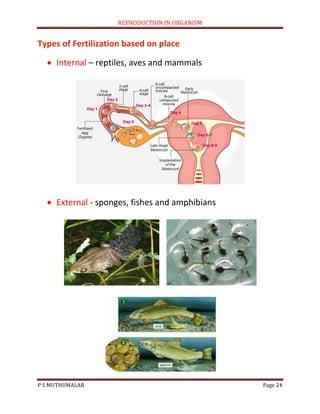 Chapter 1 reproduction in organism | PDF