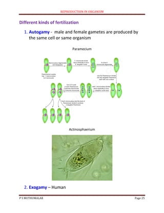 Chapter 1 reproduction in organism | PDF