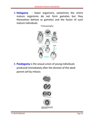 Chapter 1 reproduction in organism | PDF