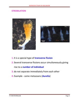 Chapter 1 reproduction in organism | PDF