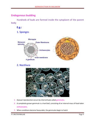 Chapter 1 reproduction in organism | PDF