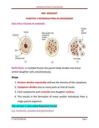Multiple Fission In Plants