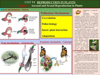 Chapter 1 reproduction in plants | PPTX