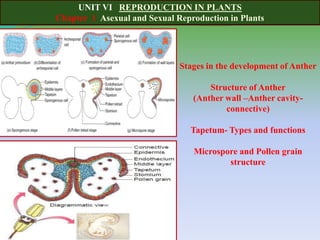 Chapter 1 reproduction in plants | PPTX