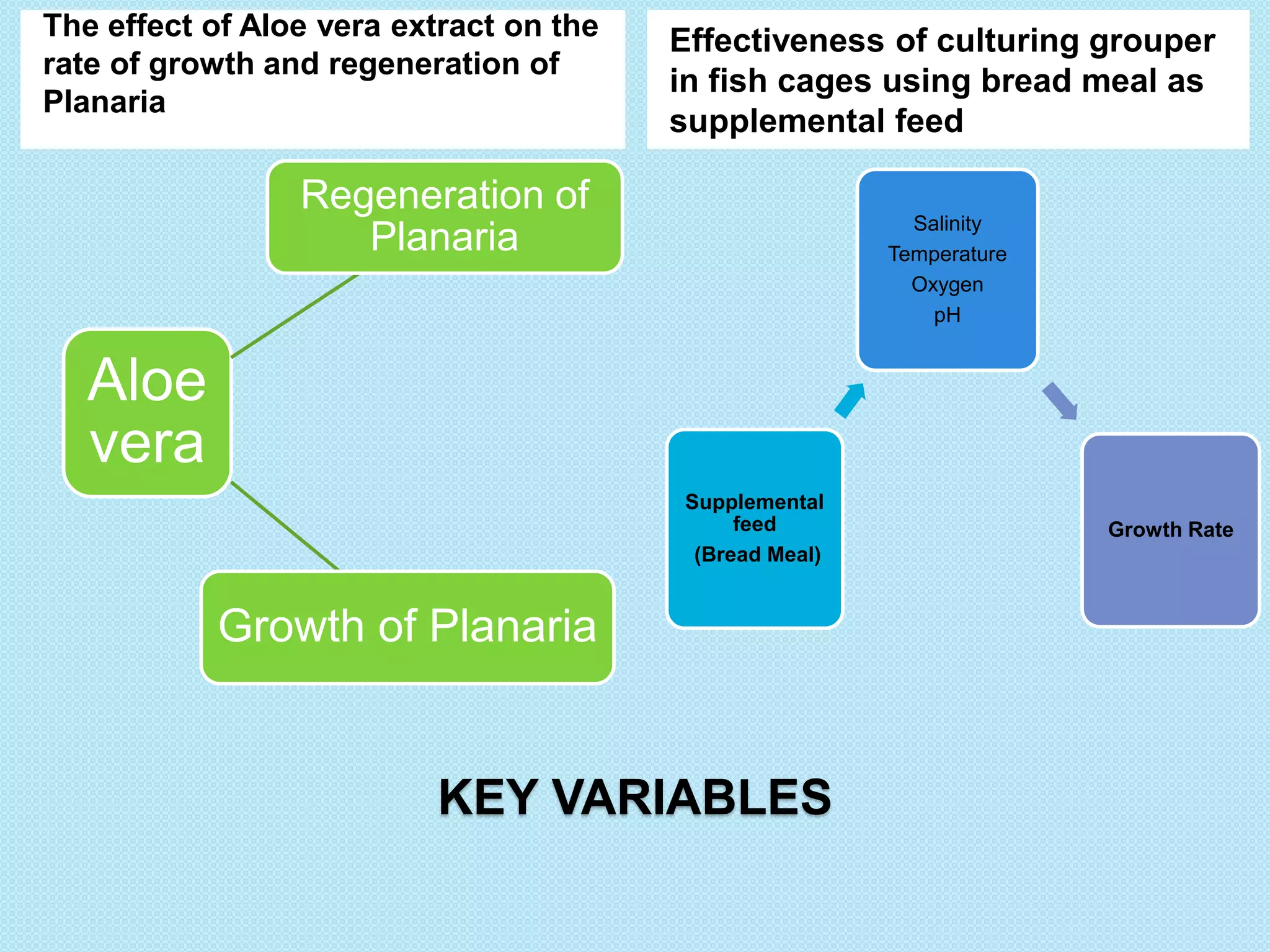 Chapter 1 Research | PPTX