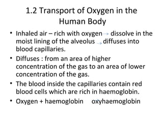 Chapter 1 respiration | PPT