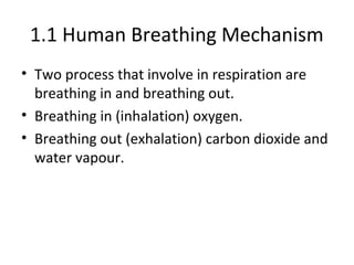 Chapter 1 respiration | PPT