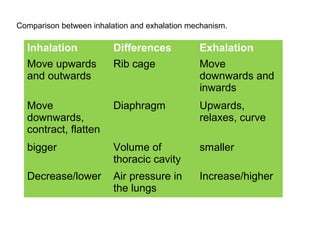 Chapter 1 respiration | PPT