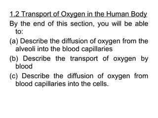 Chapter 1 respiration | PPT