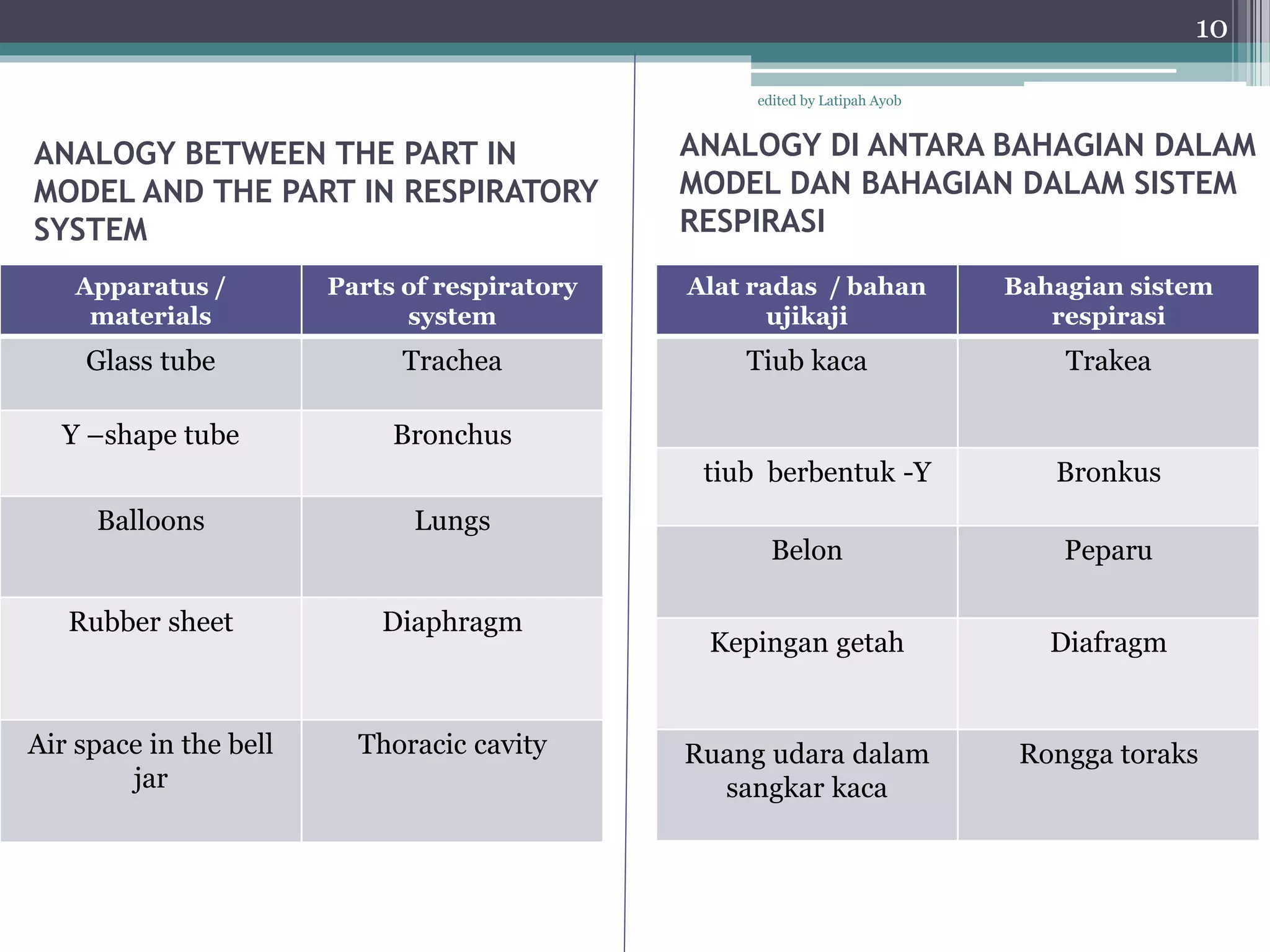 Chapter 1 respiration | PPTX