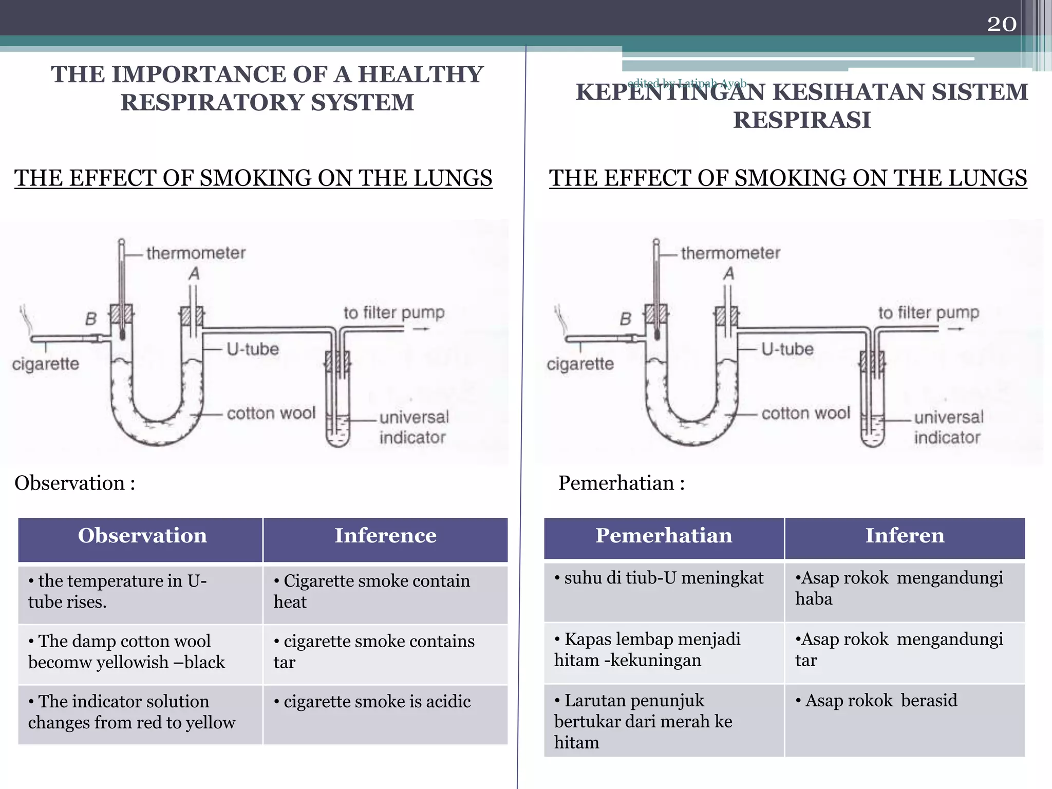 Chapter 1 respiration | PPTX