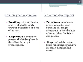 Chapter 1 respiration | PPTX