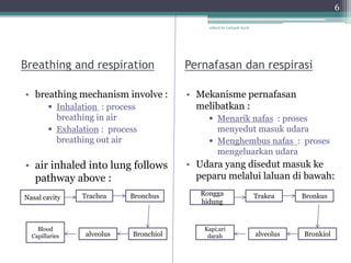 Chapter 1 respiration | PPTX