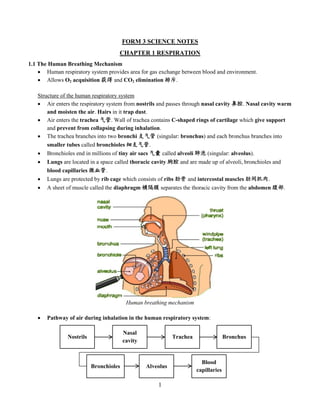 Chapter 1 Respiration | PDF