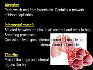 Chapter 1 respiration1 | PPT