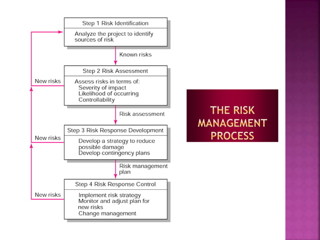 CHAPTER_1_RISK_MANAGEMENT.pptx