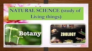 Chapter 1 science around us | PPTX