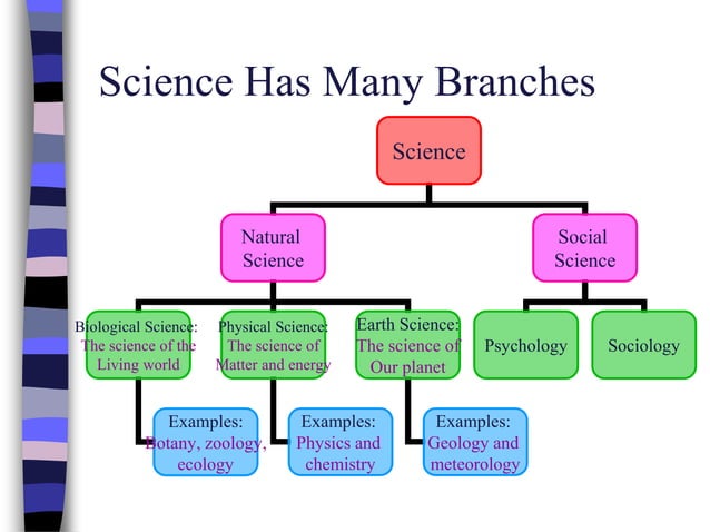 Chapter 1 Section 1 Notes.ppt