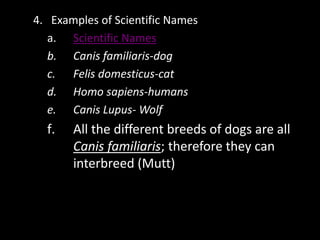 Chapter 1 section 4 (how are living things classified) 2011 | PDF ...