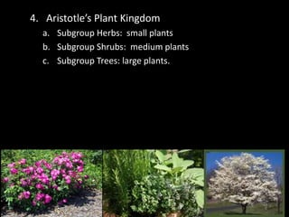 Chapter 1 section 4 (how are living things classified) 2011 | PDF ...