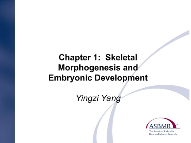 Chapter 1 Skeletal Morphogenesis and Embryonic Development.ppt | Bone and Joint Conditions ...