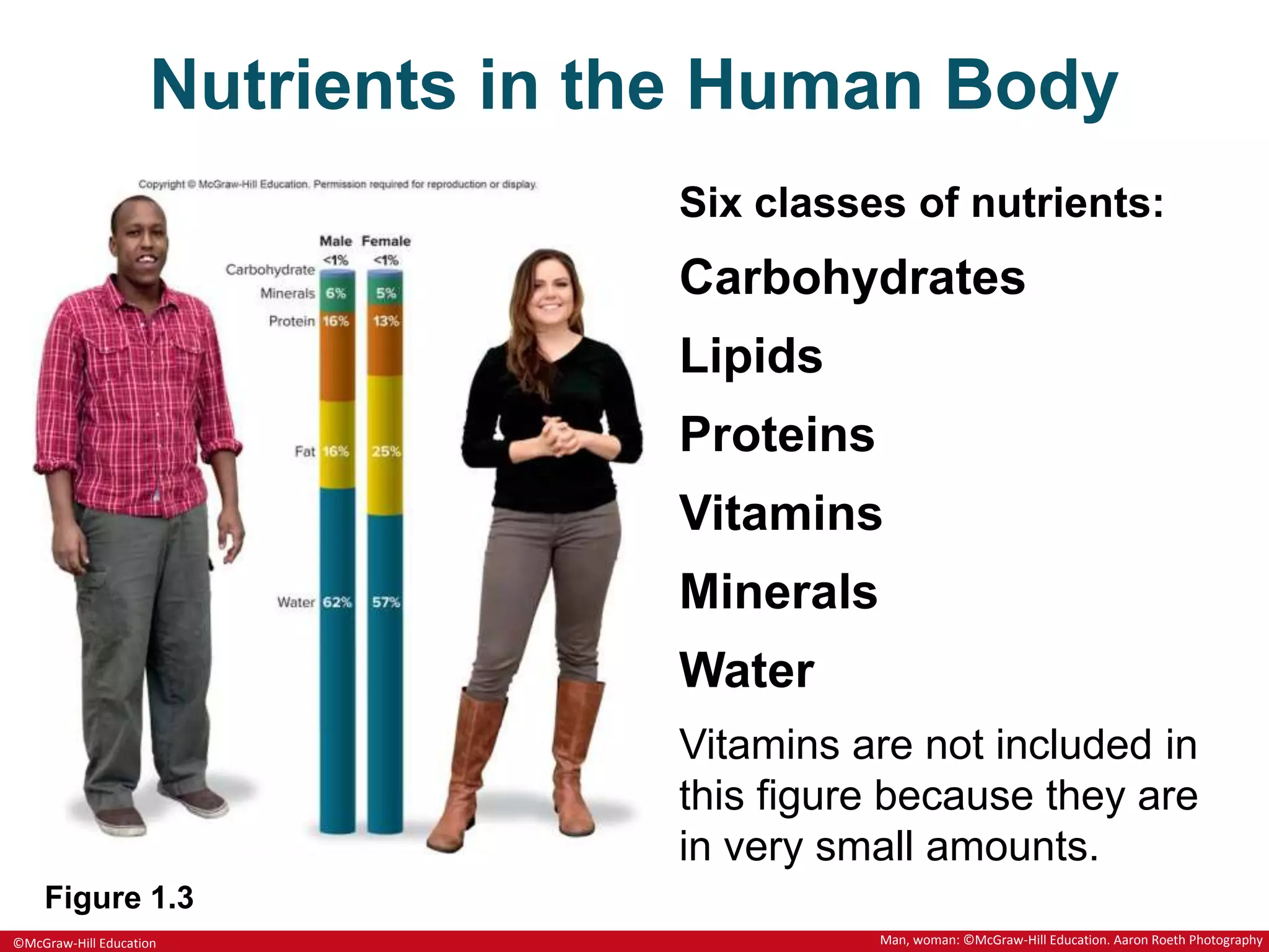 Chapter 1 the basics of nutrition | PPTX