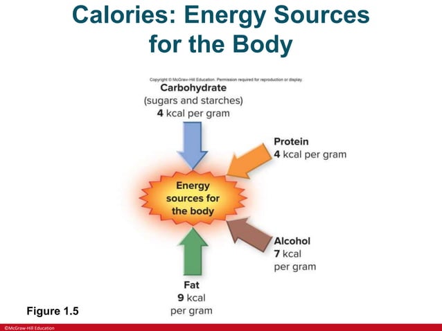 Chapter 1 the basics of nutrition | PPTX | Nutrition | Healthy Living