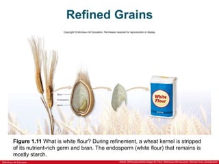 Chapter 1 the basics of nutrition | PPTX