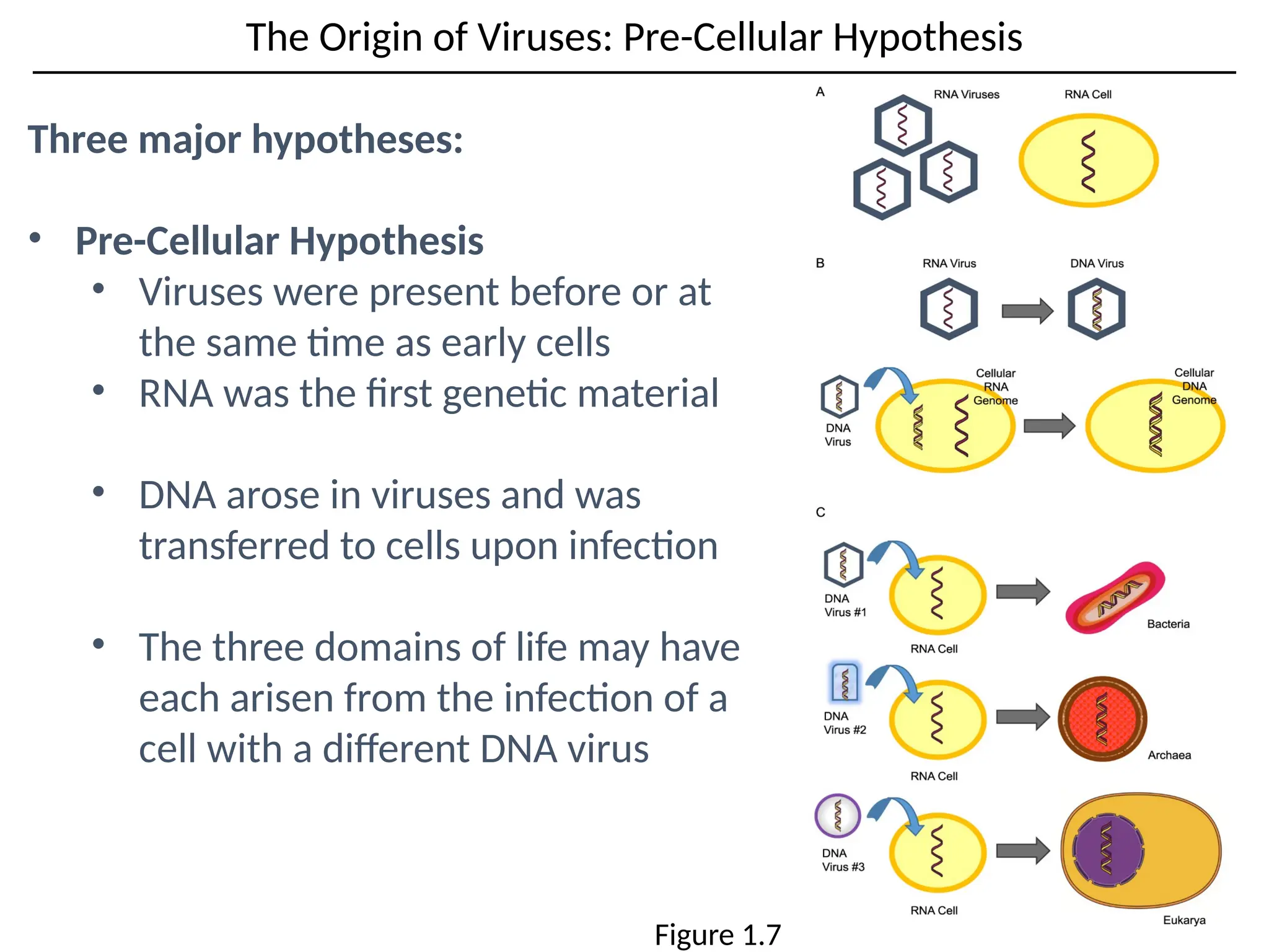 Chapter 1 the world of viruses and their existance.pptx