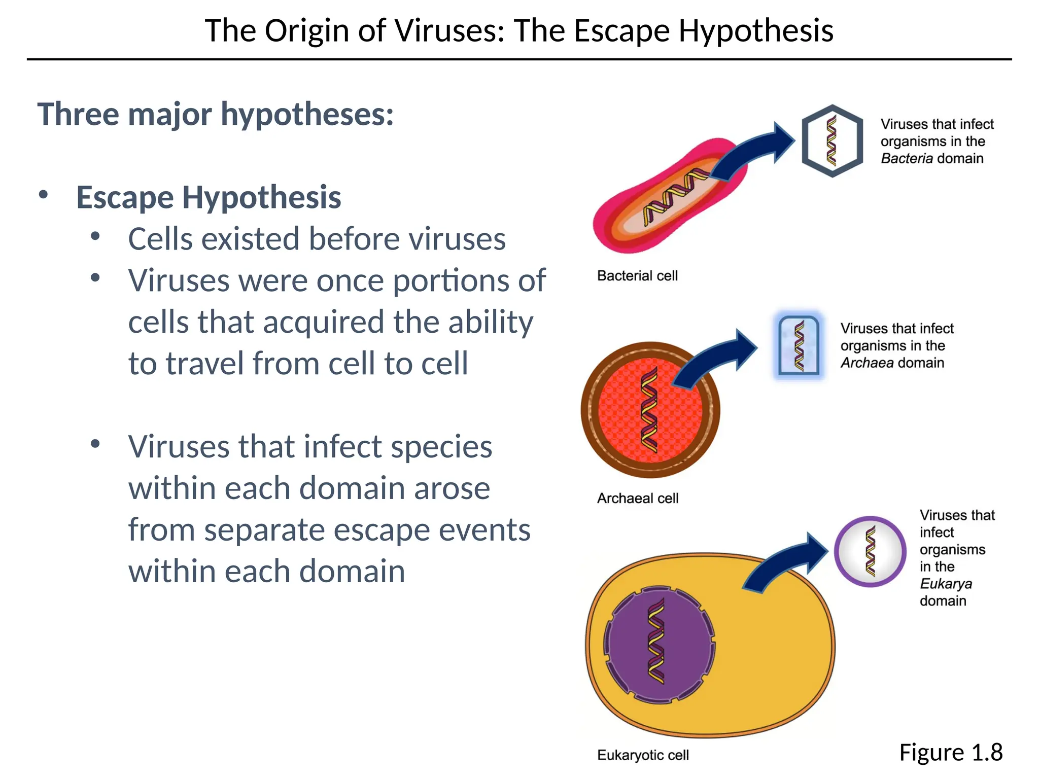 Chapter 1 the world of viruses and their existance.pptx