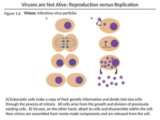 Chapter 1 the world of viruses and their existance.pptx