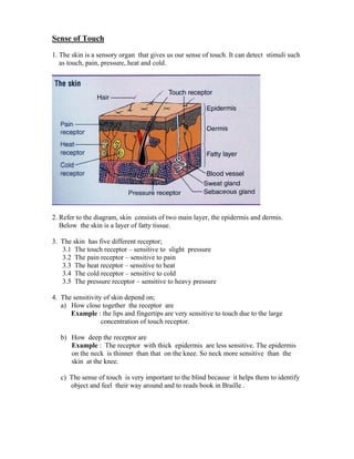 Chapter 1 the world through our senses | PDF