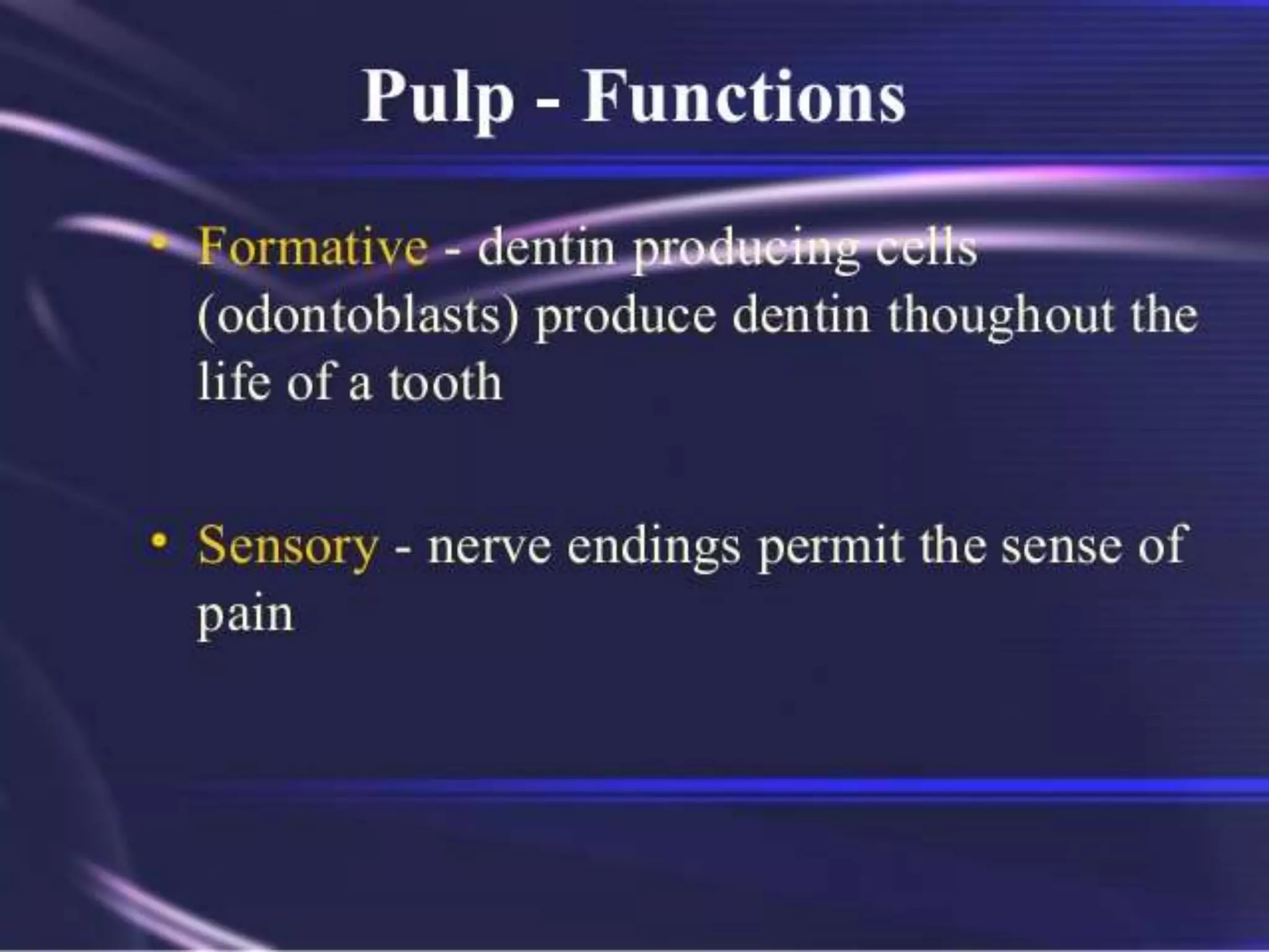 chapter 1 tooth Morpho.pptx
