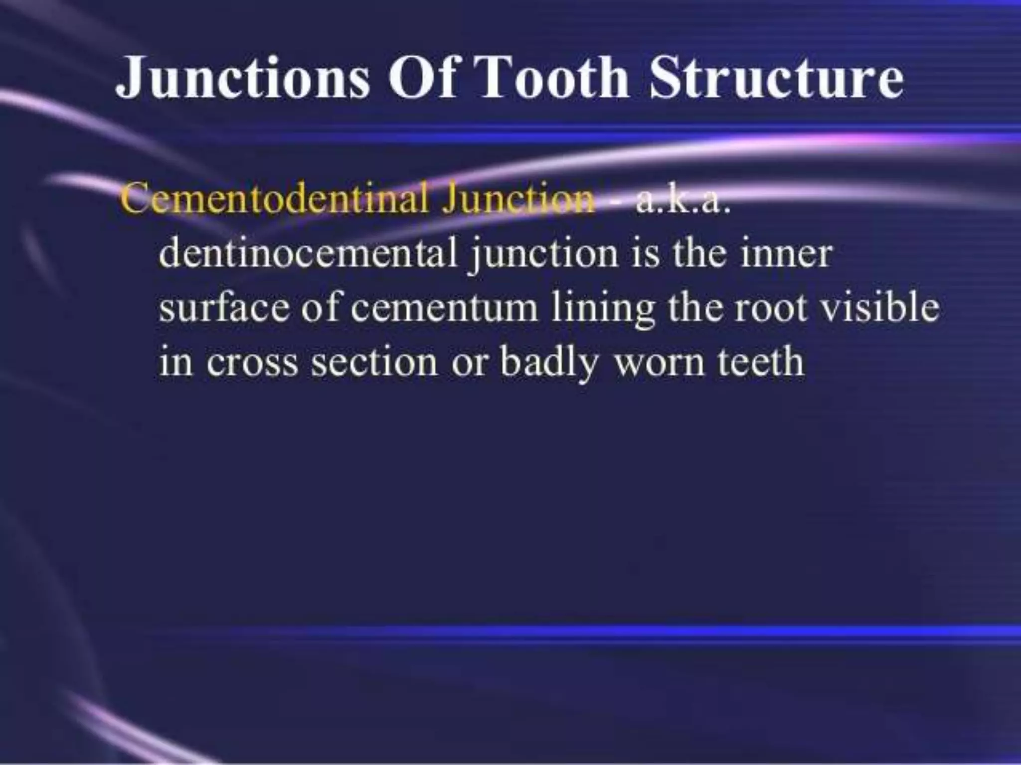 chapter 1 tooth Morpho.pptx
