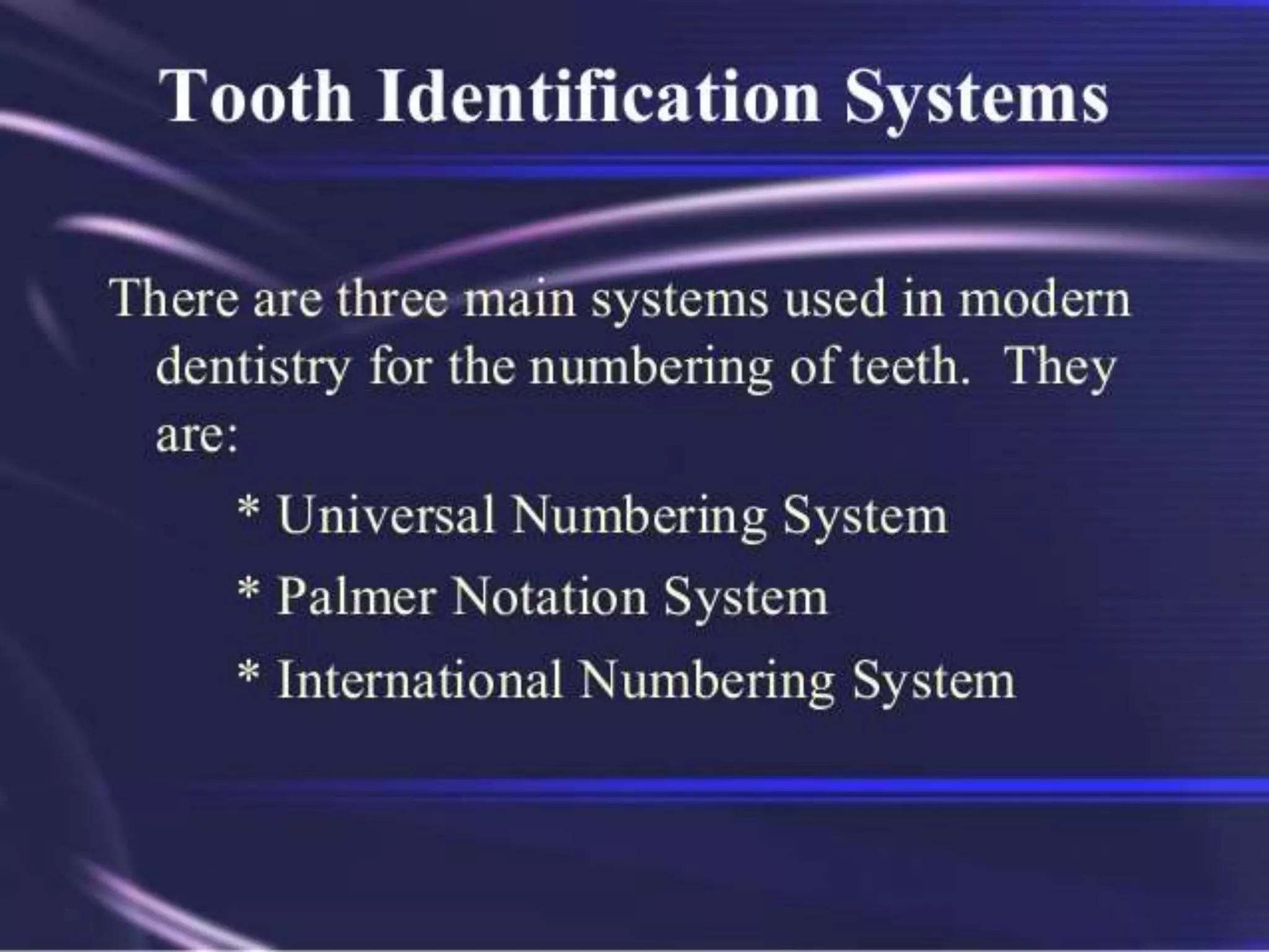 chapter 1 tooth Morpho.pptx