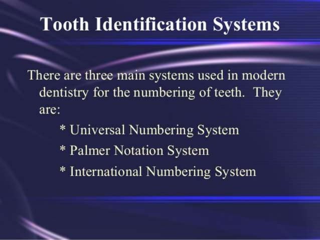 chapter 1 tooth Morpho.pptx