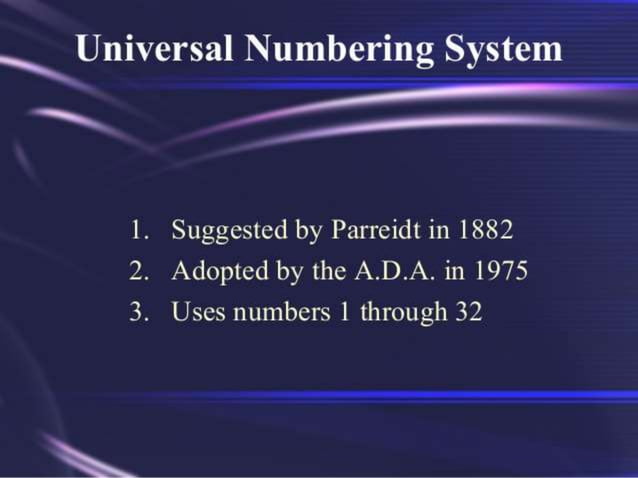 chapter 1 tooth Morpho.pptx
