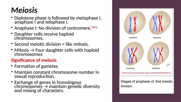 ANATOMY EMBROLOGY CHAPTER 1 PPT POWER POINT | PPT