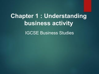 Chapter 1 Understanding business activity.pdf