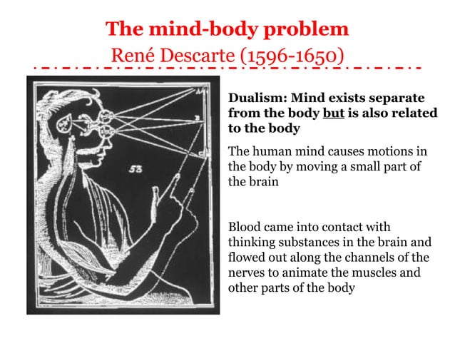 Chapter1 understanding modernpsychology | PPT | Physical Therapy | Wellness