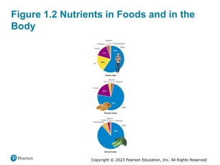 CHAPTER 1 WHAT IS NUTRITION.pptx